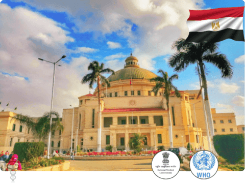 Study Medicine at Cairo University - Making Doctor Organization